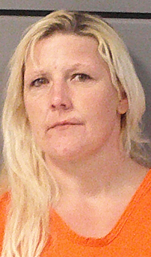 Elkins woman facing felony drug charge | News, Sports, Jobs - The ...